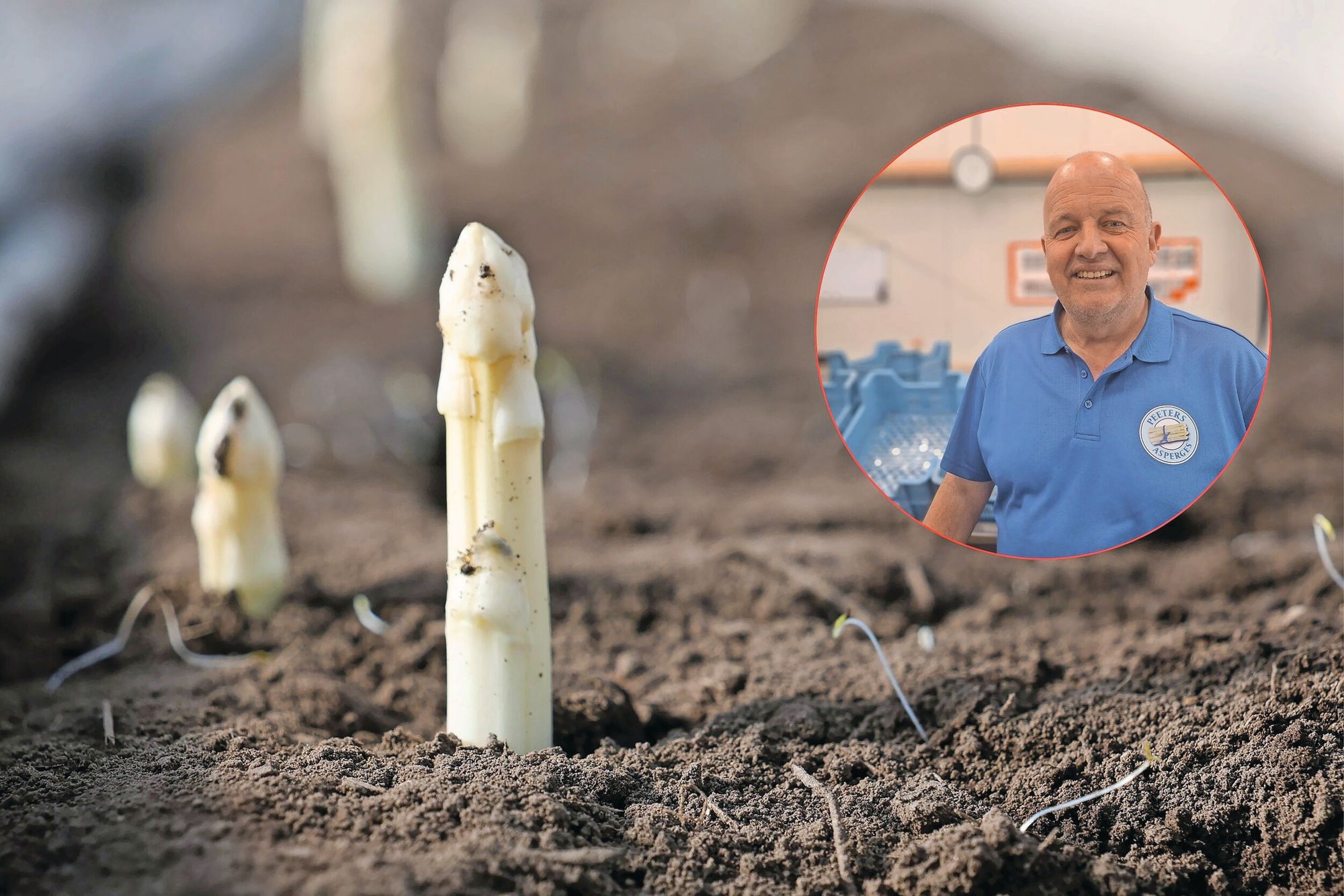 Peeters Asperges na brand: ‘Trots op waar we nu staan’ - Groenten ...