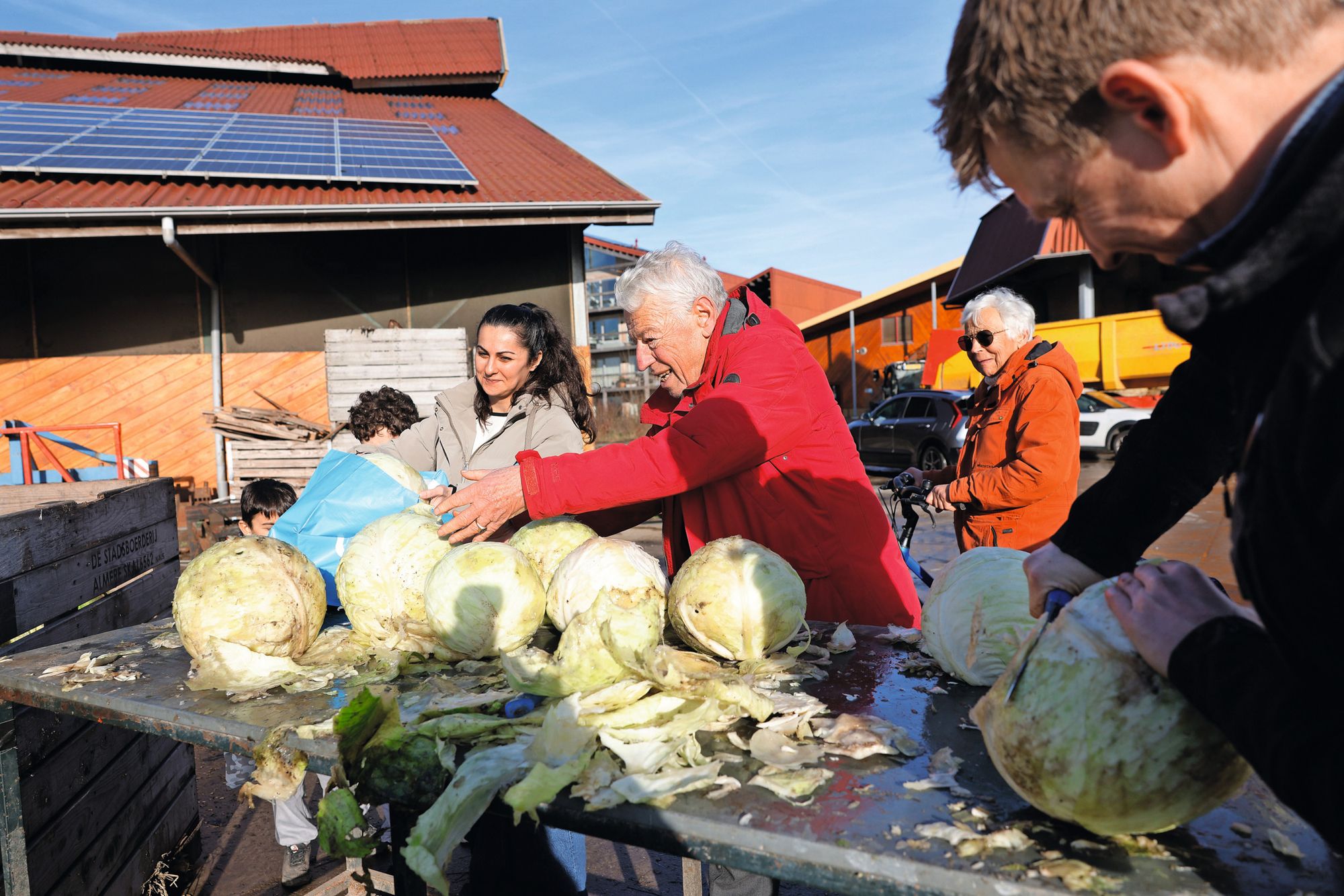 Zo helpt No Waste Army telers met oogstoverschotten - Groenten & Fruit ...