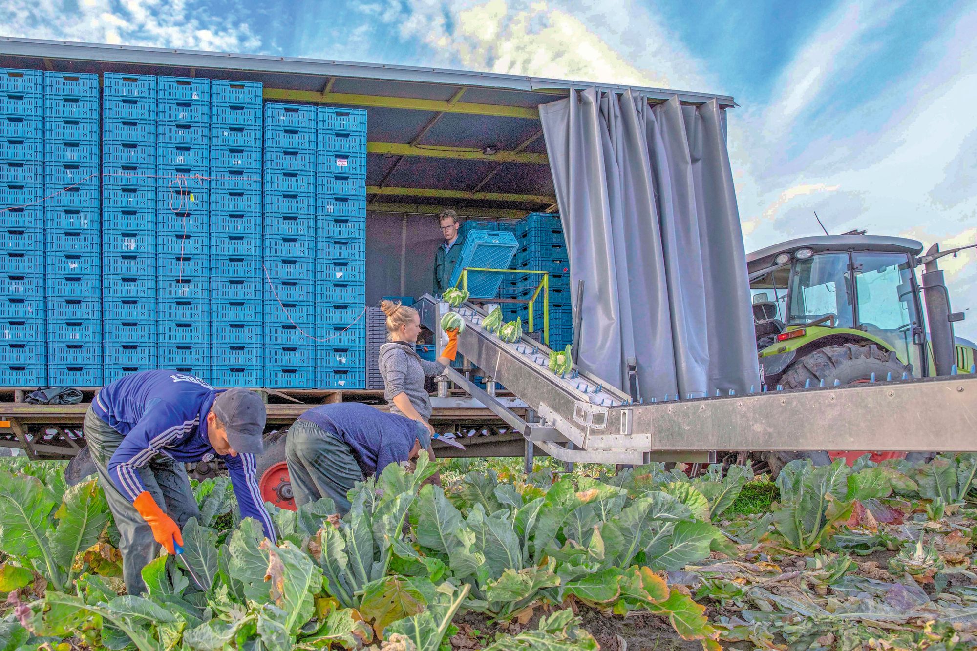 Arbeidsmigrant die werkt in vaste dienst is niet automatisch veiliger ...